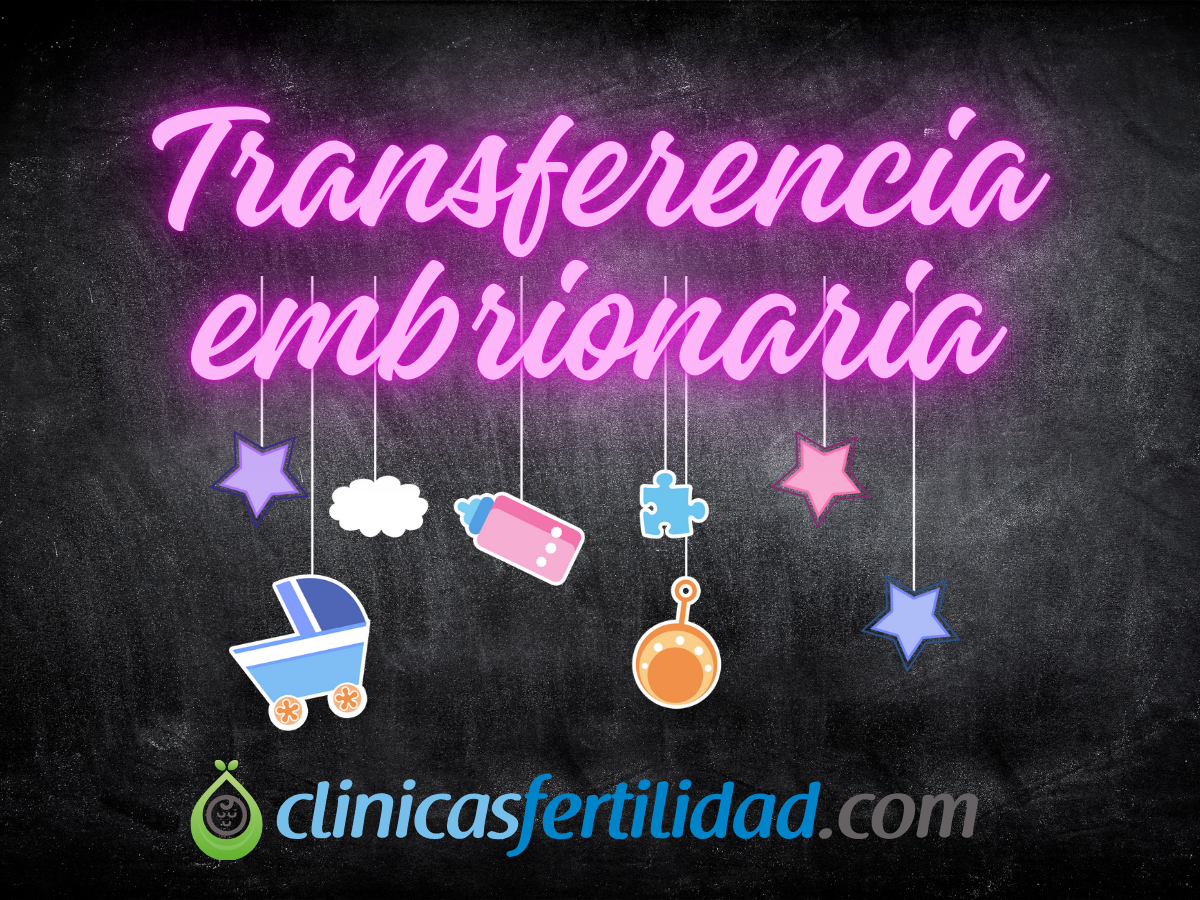 Transferencia embrionaria | ¿Qué es y qué consiste?